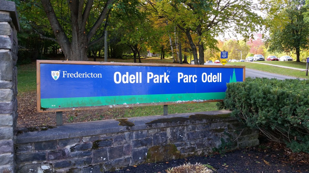 Fredericton closes Odell, Killarney trails