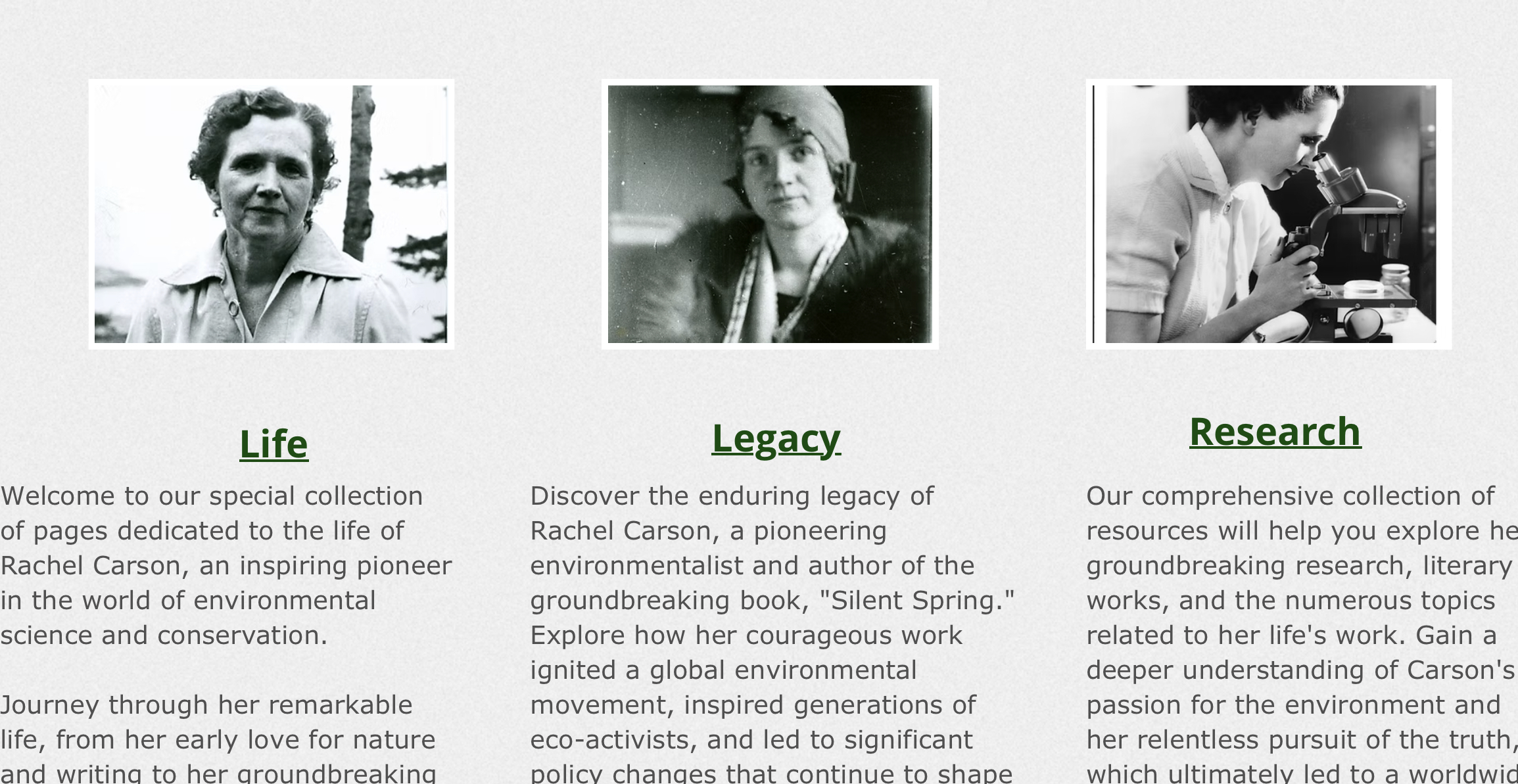 The Lone Voice That Awakened the World: Rachel Carson’s Legacy