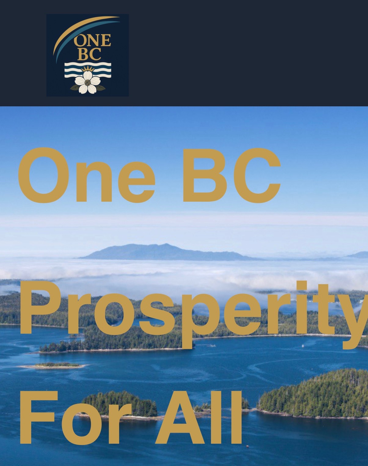 One BC or One Agenda? Brodie and Armstrong’s New Breakaway Party ...