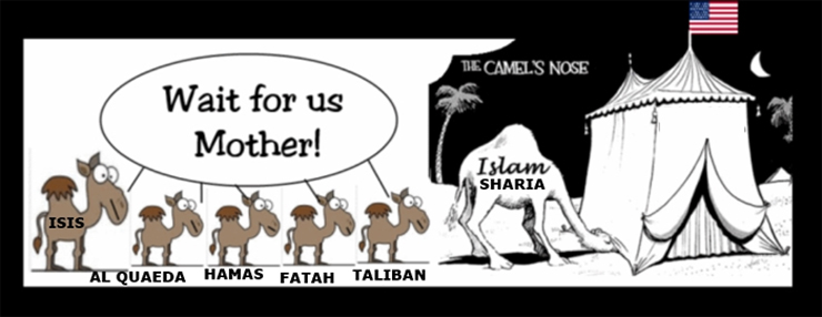 Hedieh Mirahmadi Falco - by Ted Slanker - Ted’s Substack