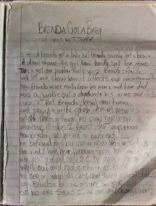 Tupac's Revolutionary Notes - by Jillian Hess - Noted