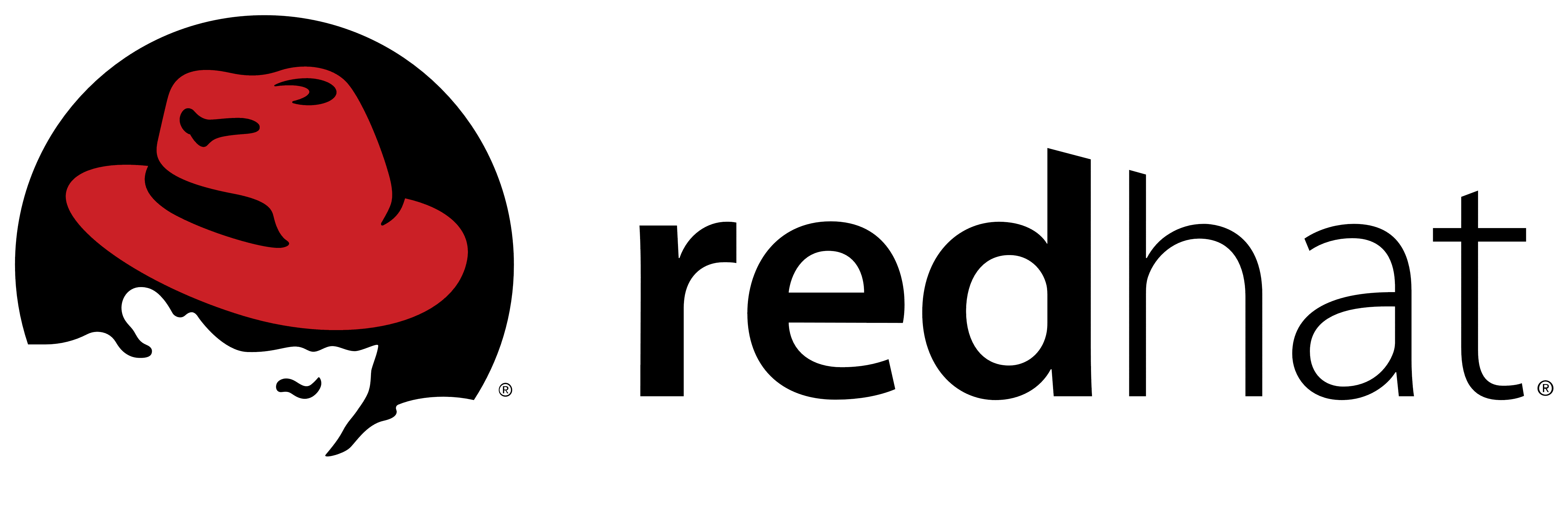 Red Hat: A Pillar of the Open Source Movement