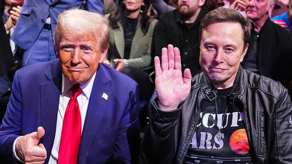 Did Elon Musk “Delete Europe”? Separating Fact from Viral Fiction