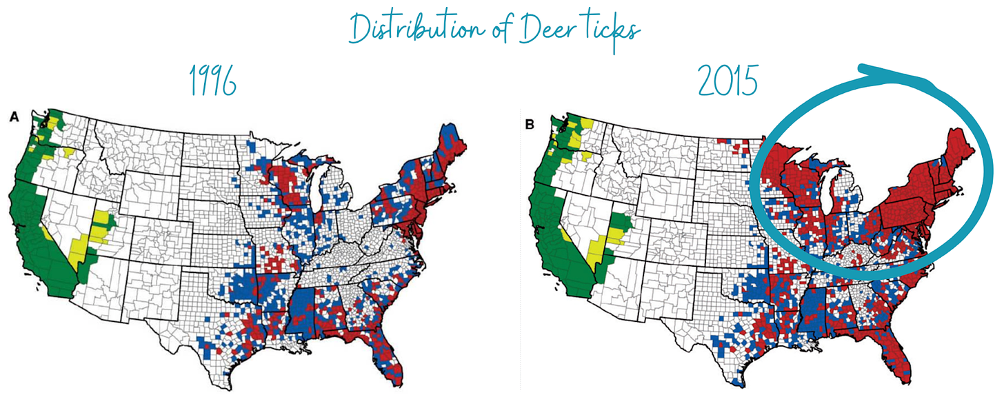 Bite-sized Threats of Ticks