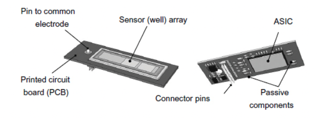 The MinION Flowcell - Nanopore Sequencing: An Introduction