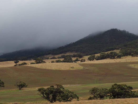 In the Land of the Ngadjuri - by Simon Cameron