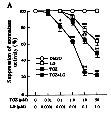 Supplements That Lower Estrogen - Hans' Substack