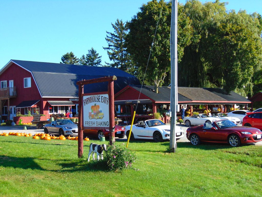 Prince Edward County Getaway- Wineries, Cider, Nature and…Cars?