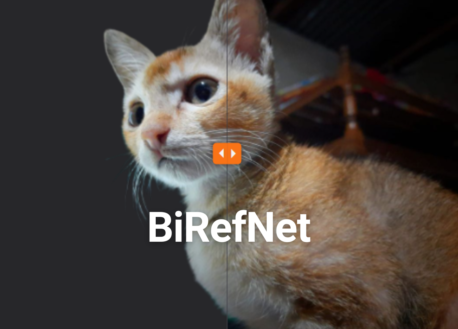 BiRefNet: High-Resolution Image Segmentation with Bilateral Reference Networks