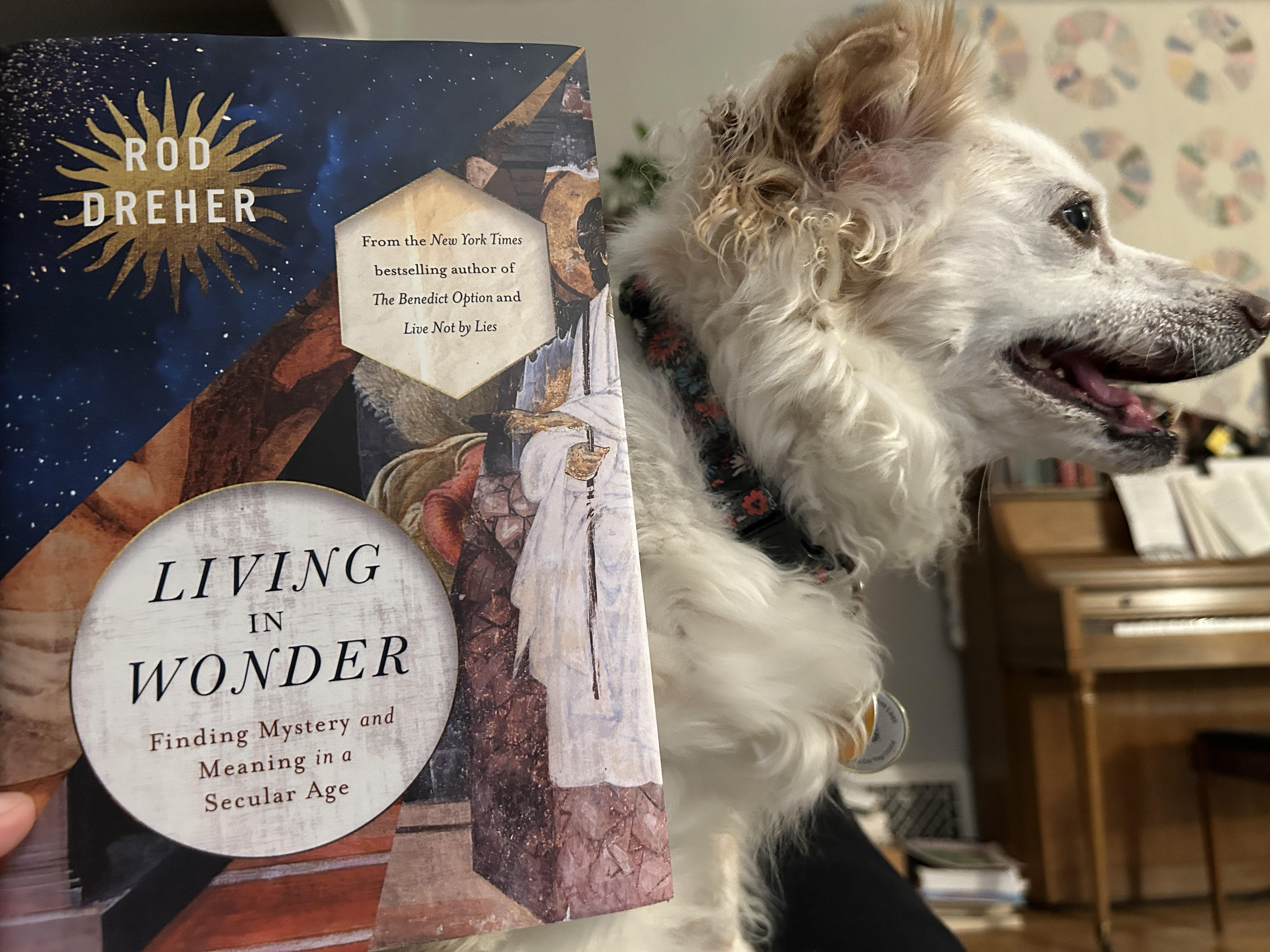 Living in Wonder: Finding Mystery and Meaning in a Secular Age by Rod ...