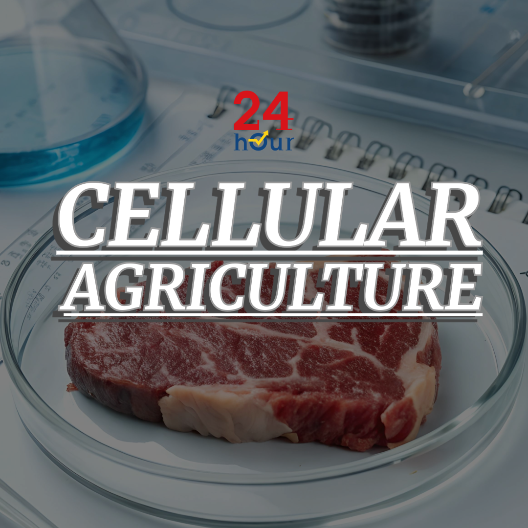 What Is Cell-Based Agriculture and How Does It Work?