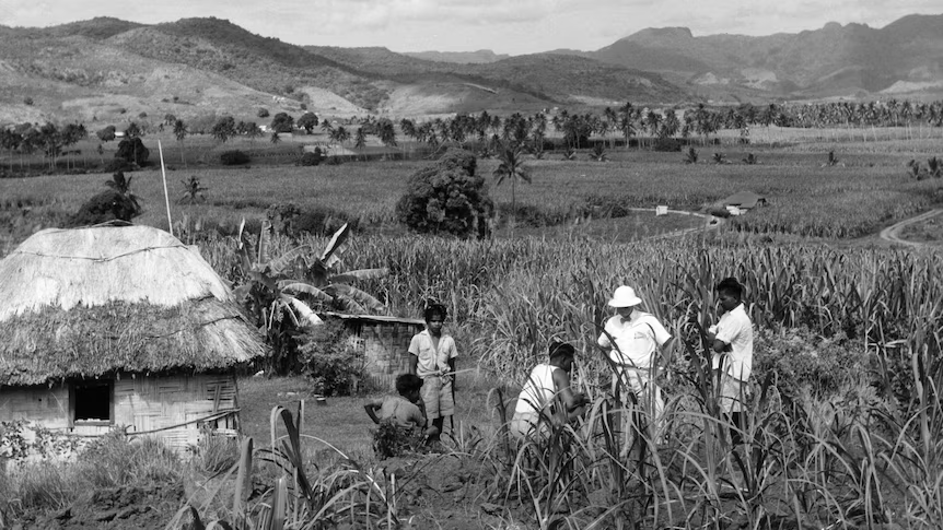 Exploring "Fiji Baat": The Language of Indo-Fijian