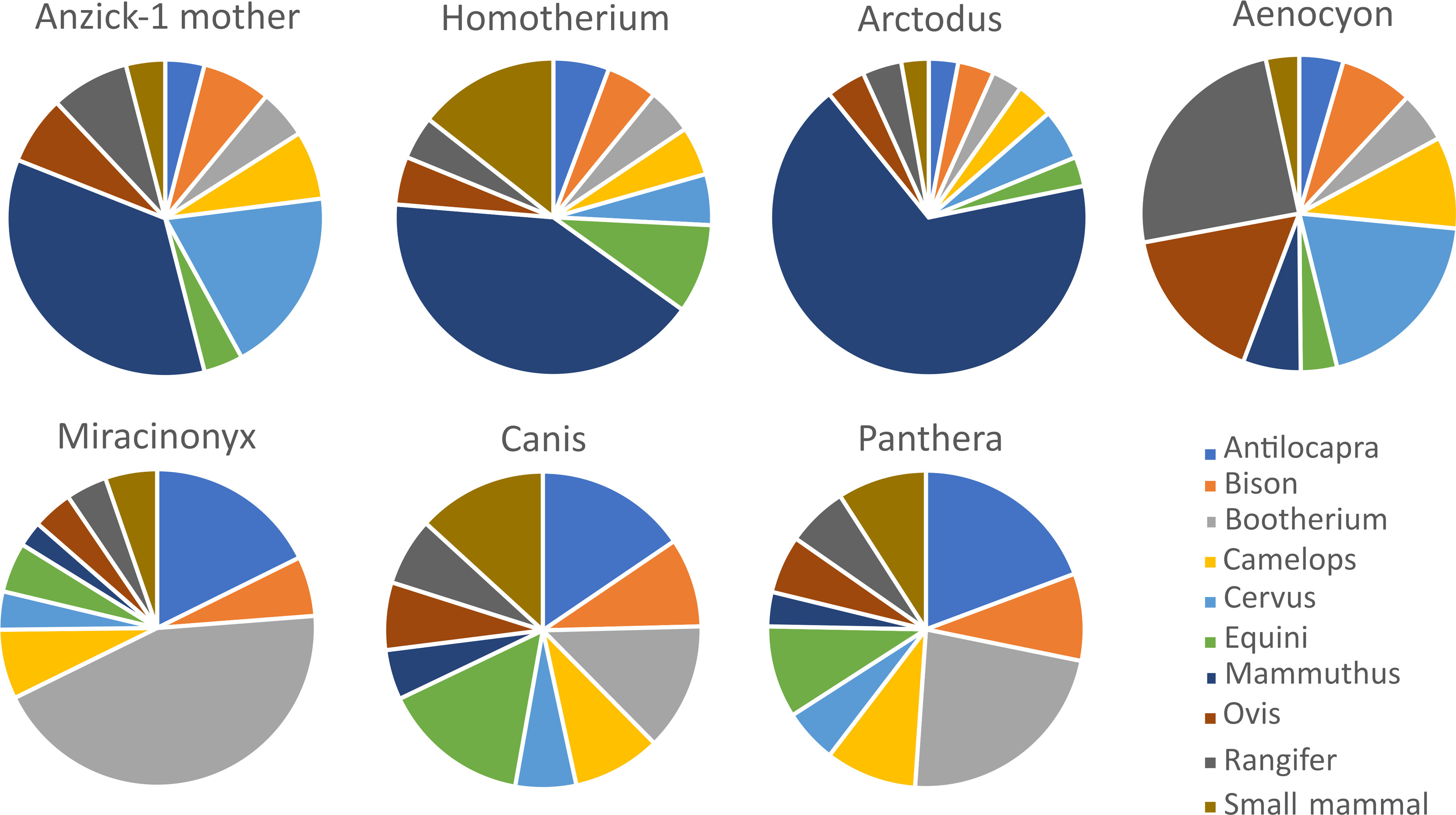 Tracing the Clovis Diet: How Mammoths Shaped the Lives of America’s ...