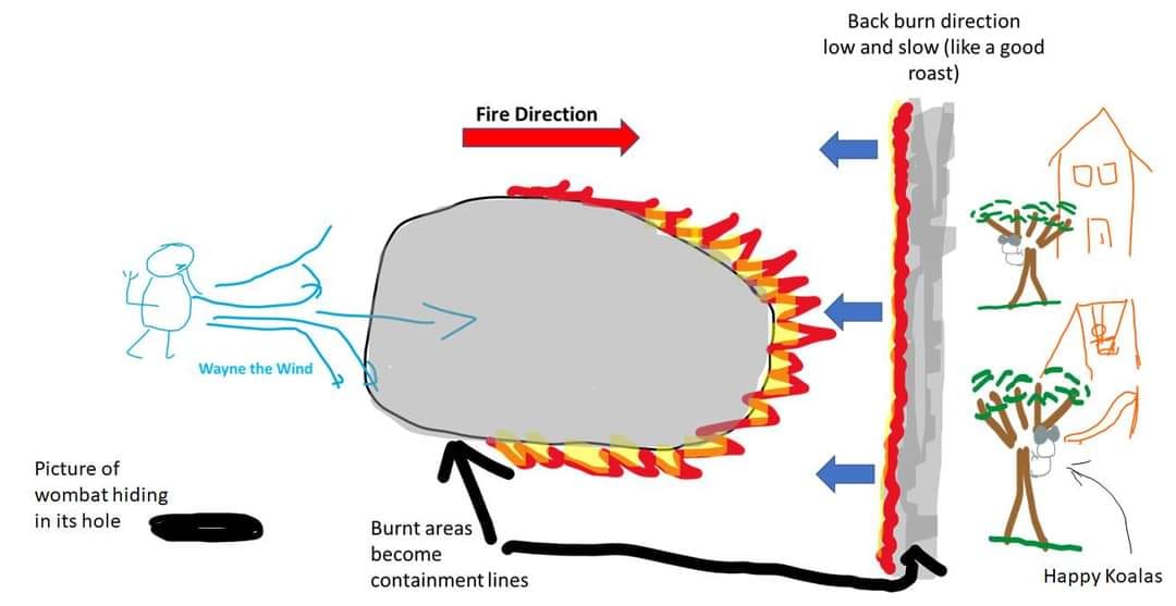 Hazard reduction burn vs backburning - by Morgan