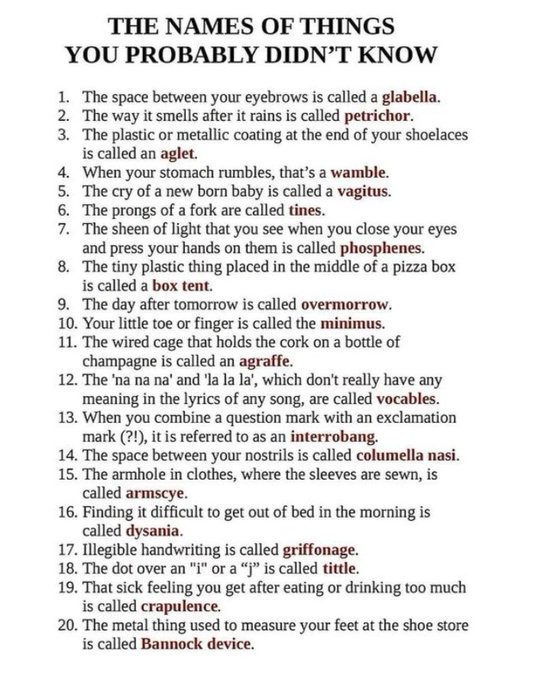 Noam Leon Kaestner on Substack: "Names of things you probably didn’t know"