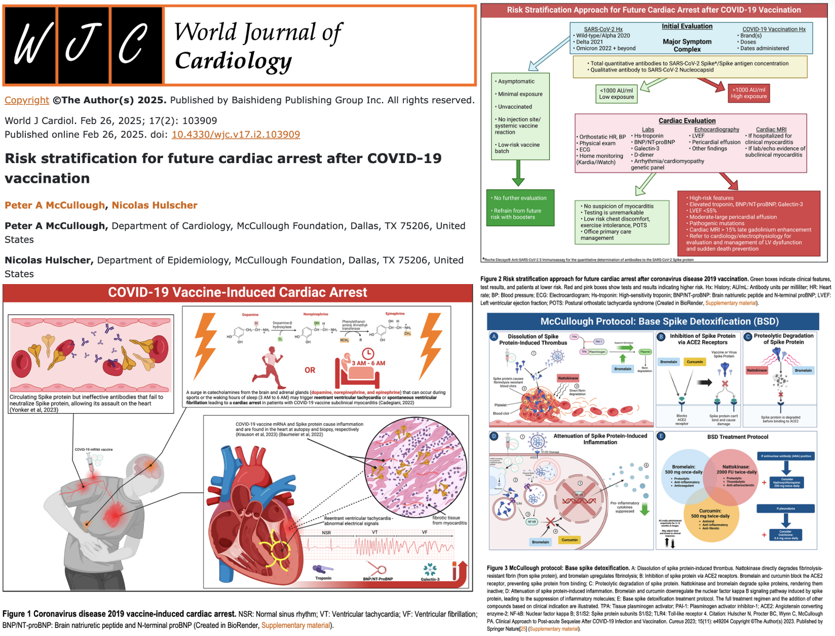 NEW AUTOPSY STUDY - Cardiac Micro-Scars in Sudden Death Following COVID ...