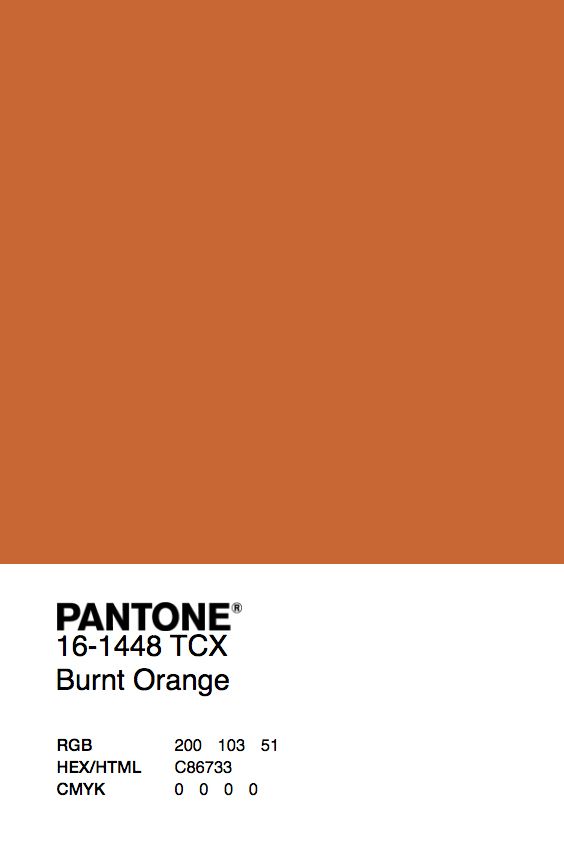 Burnt Orange: Psychology, History, Fashion, and Interiors