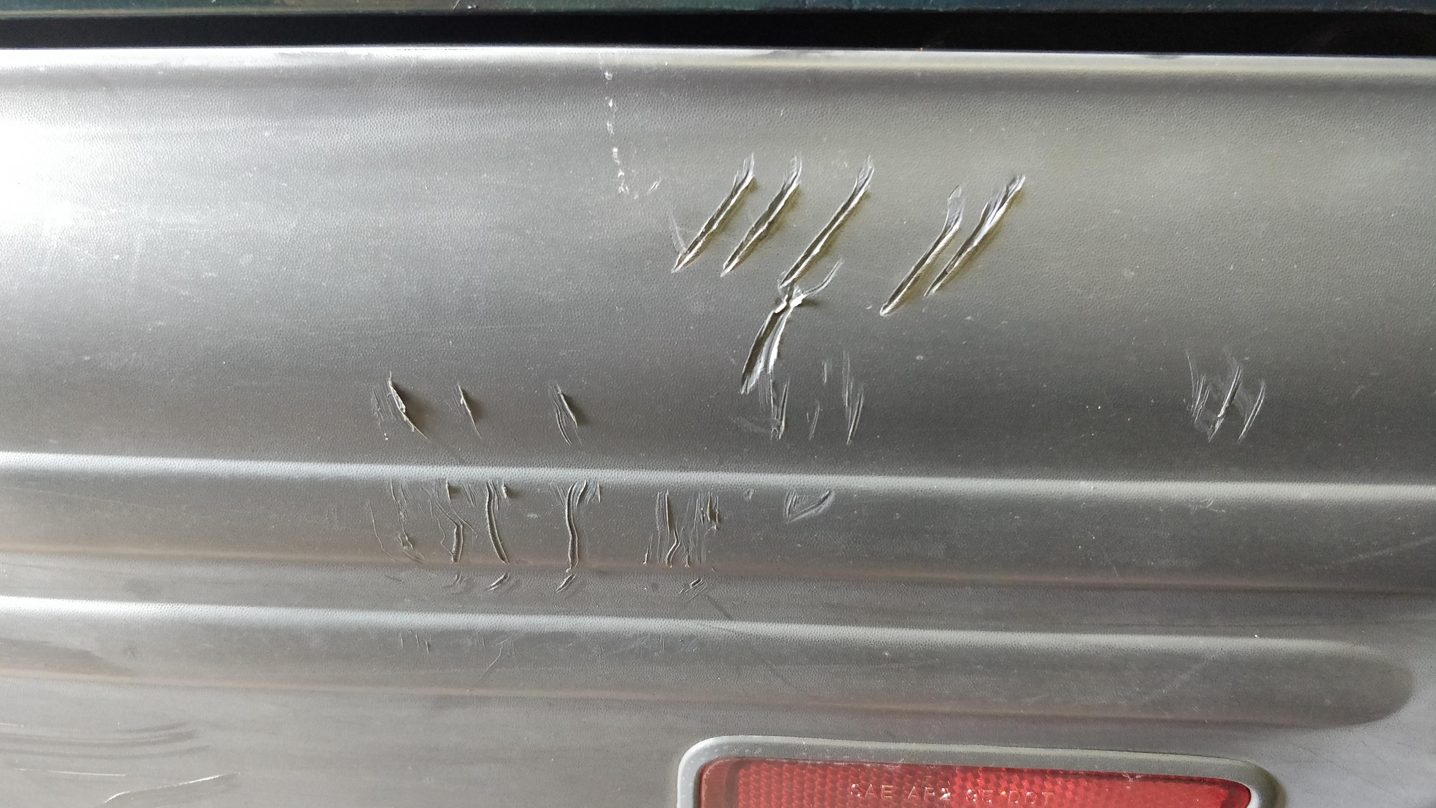 The Beast of Bray Road: Wisconsin's Most Mysterious Cryptid