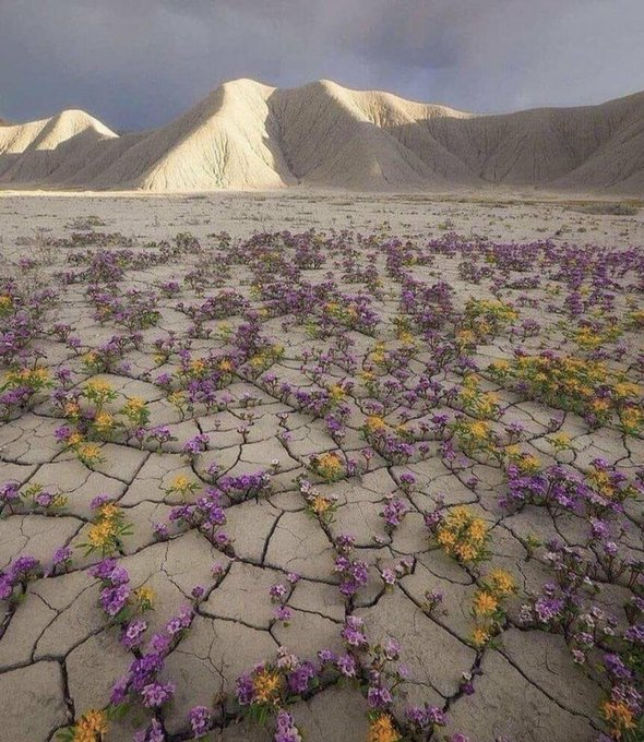 Why Is Chile So Long? - by Tomas Pueyo