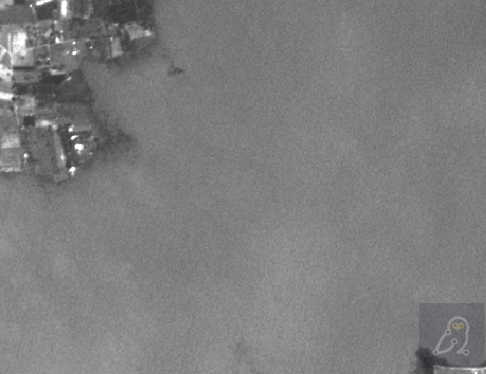 Exploration of the brand new LISS4 data release and opportunities