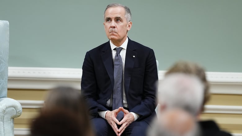 Carney is not the guy - by James Pew and Woke Watch Canada