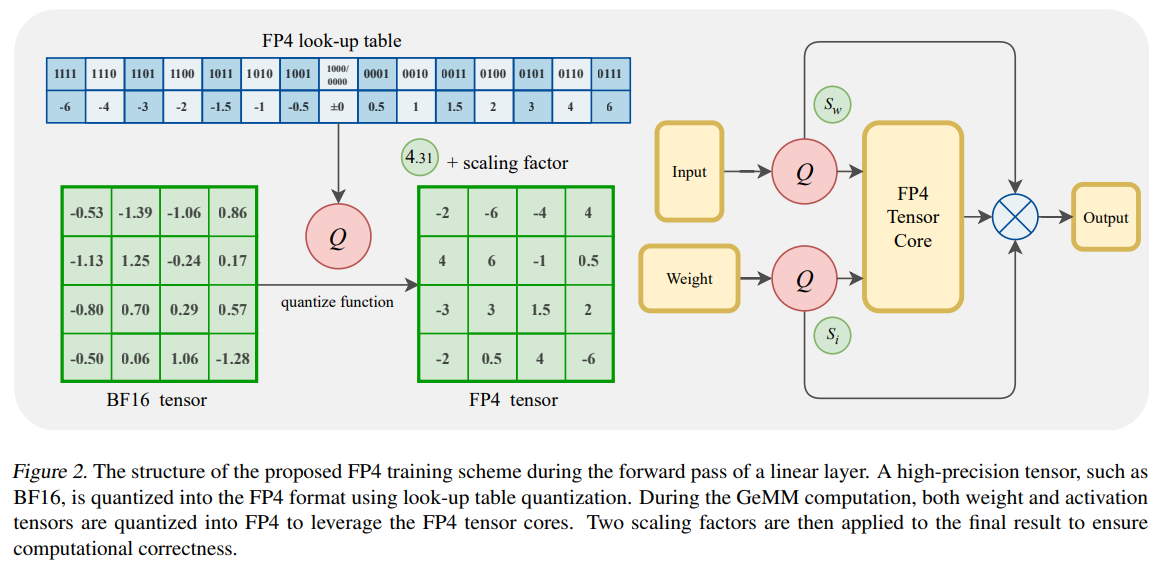 4-bit LLM training and Primer on Precision, data types & Quantization