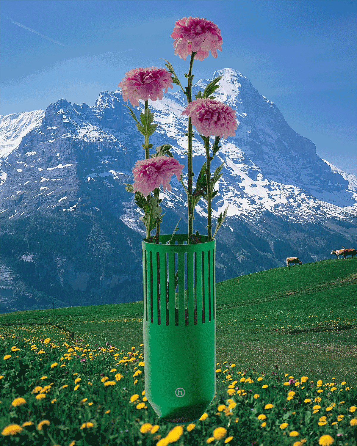 [HIDDEN] 2025 Release 3.0 Preview - by HIDDEN