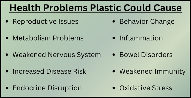 The Hidden Dangers of Plastic: How It Affects Your Hormones