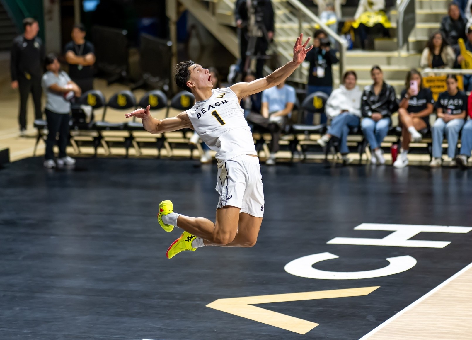 The ‘Moni Effect' - Larry Hamel's All Volleyball!