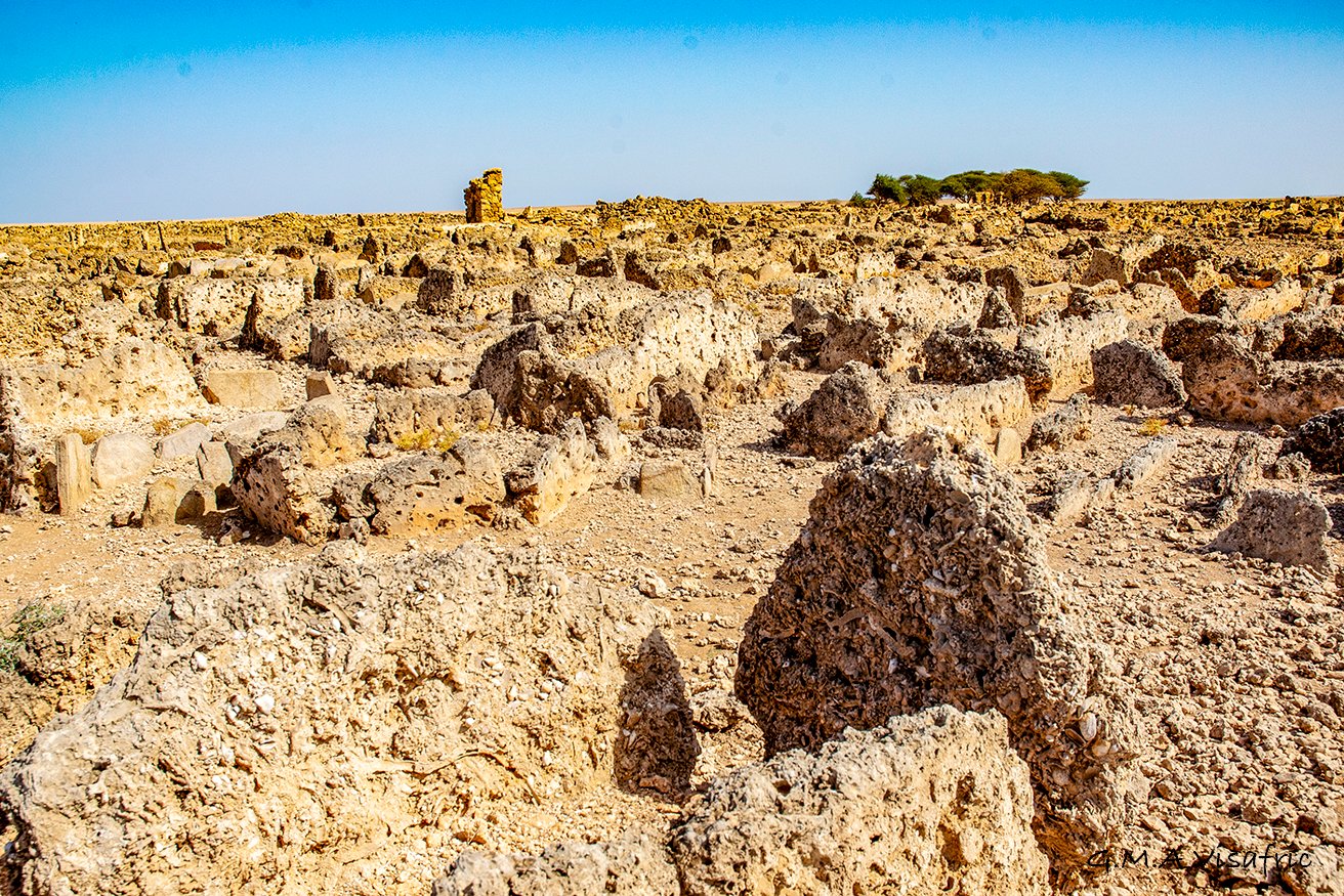 The Dahlak islands and the African dynasty of Yemen