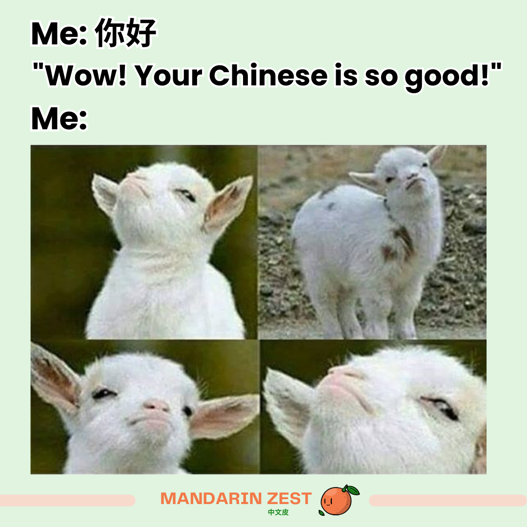 A Compilation of the Best Chinese Learning Memes
