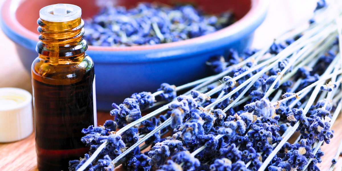 The Scent Effect: Transforming Mood and Mind Through Aromatherapy ...