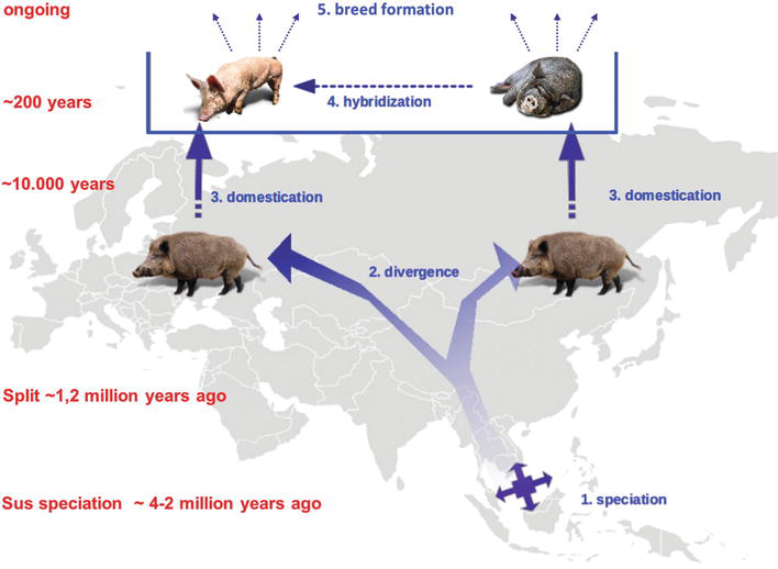 The Origins of the Pork Taboo - by Prateek Dasgupta