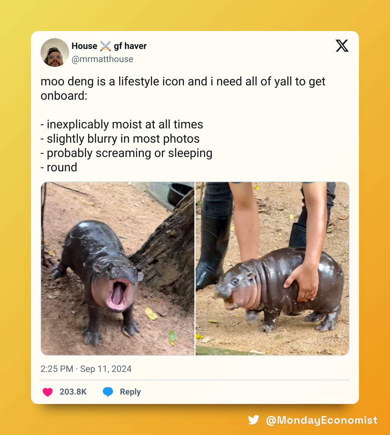 How Moo Deng Became a Superstar - by Jadrian Wooten