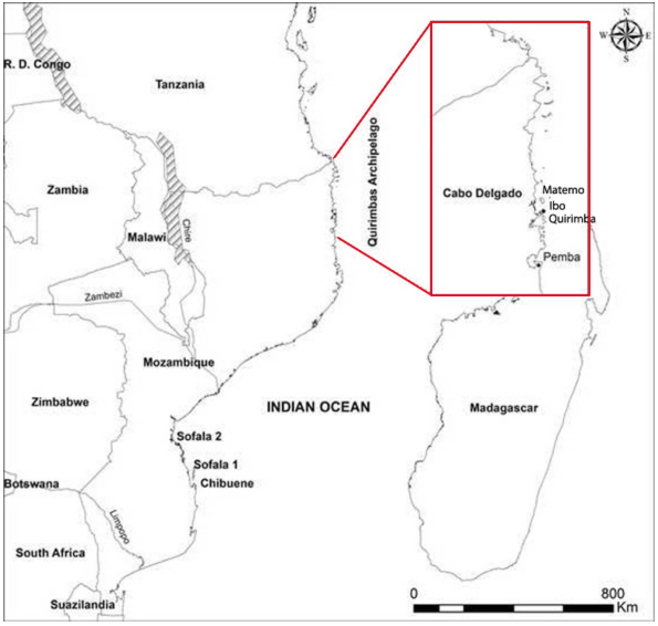 A history of the medieval coastal towns of Mozambique ca. 500-1890 CE.