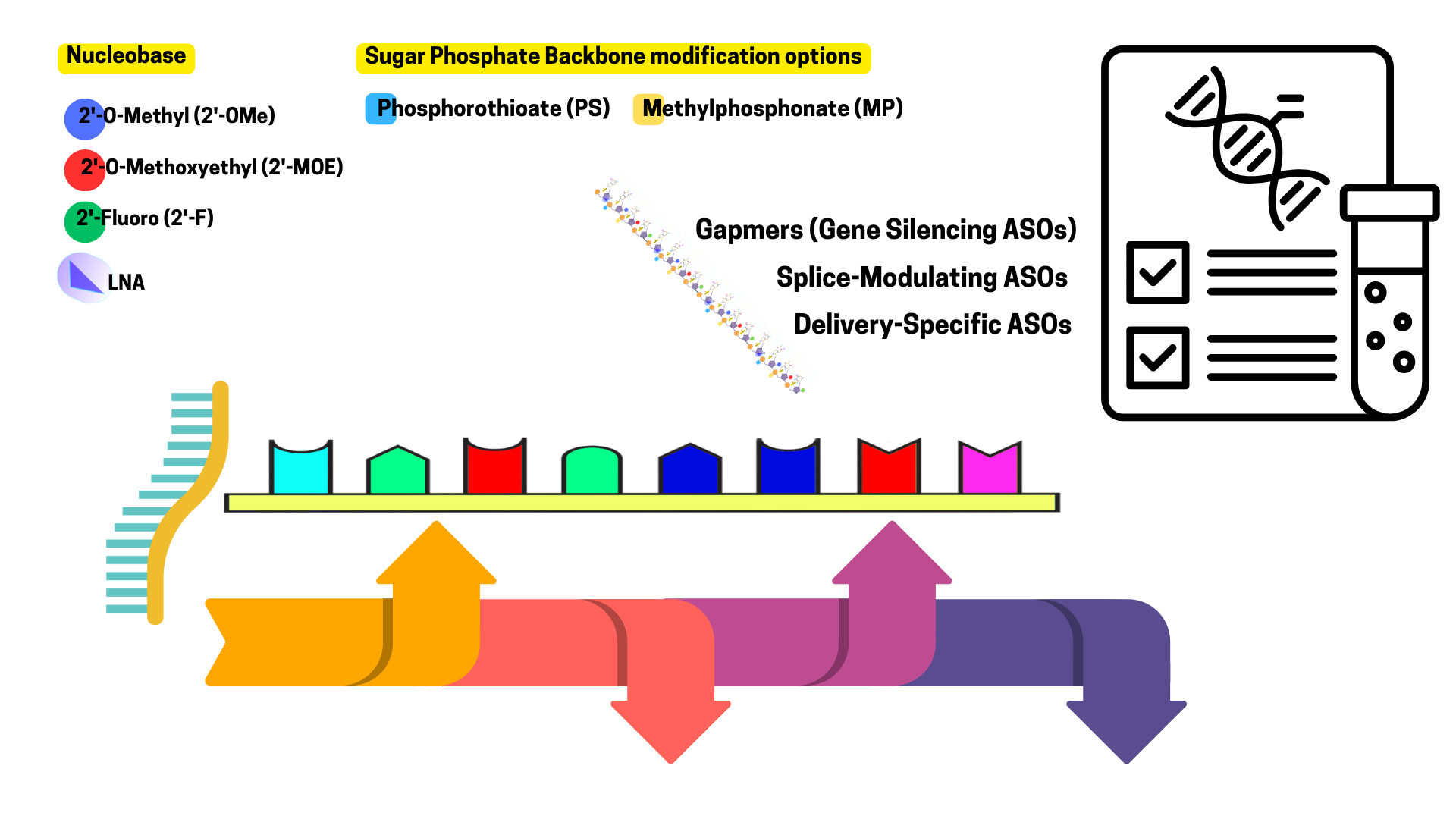 Understanding RNA-Based Therapies: From Antisense Oligonucleotides to mRNA
