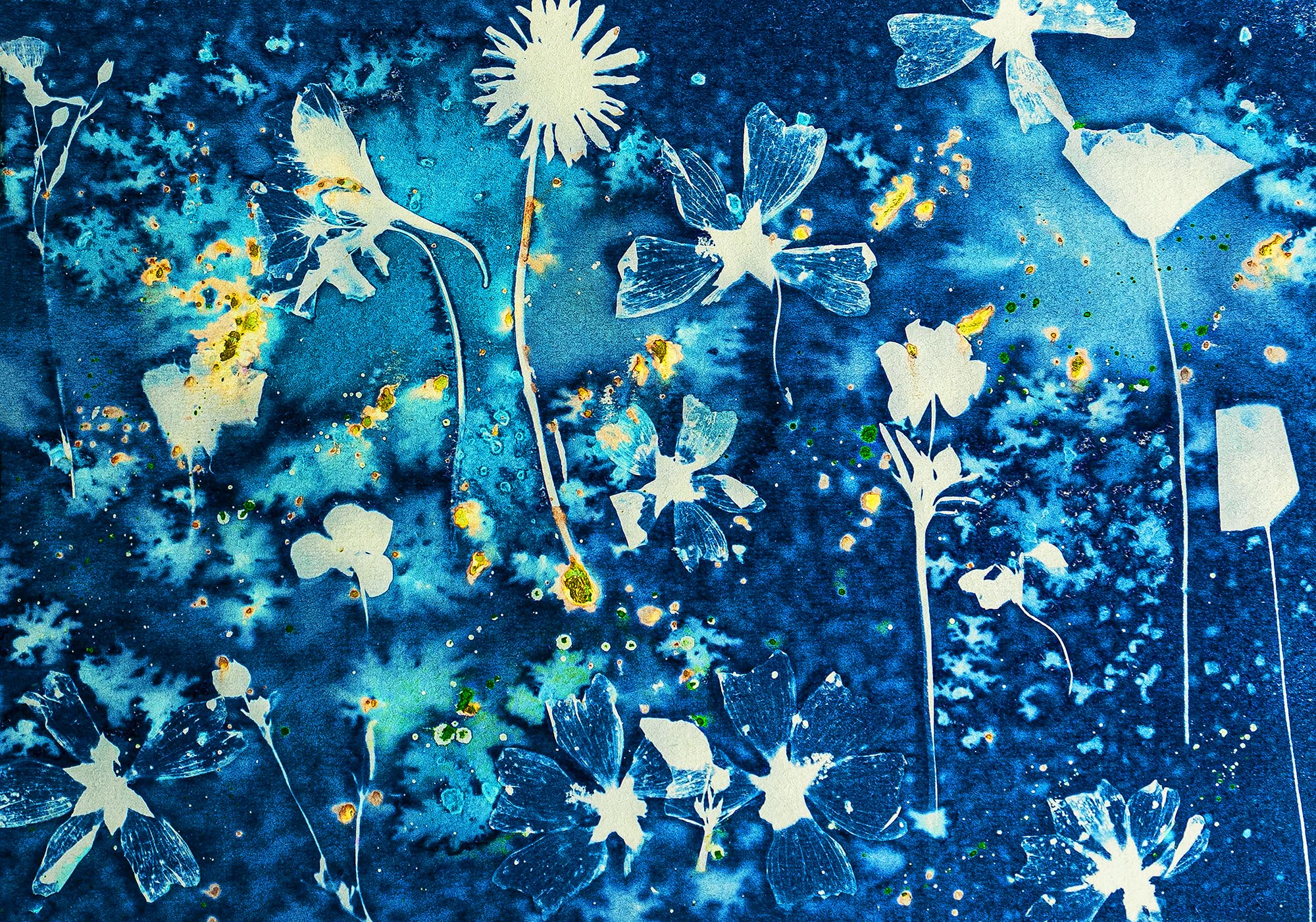 Part Science, Part Alchemy … The Art of the Cyanotype