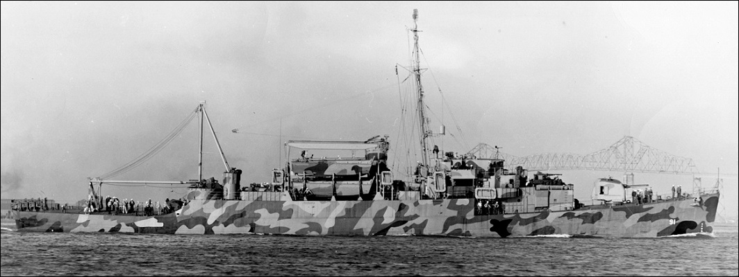 US Navy Destroyer Escorts - by Thomas M Gregg
