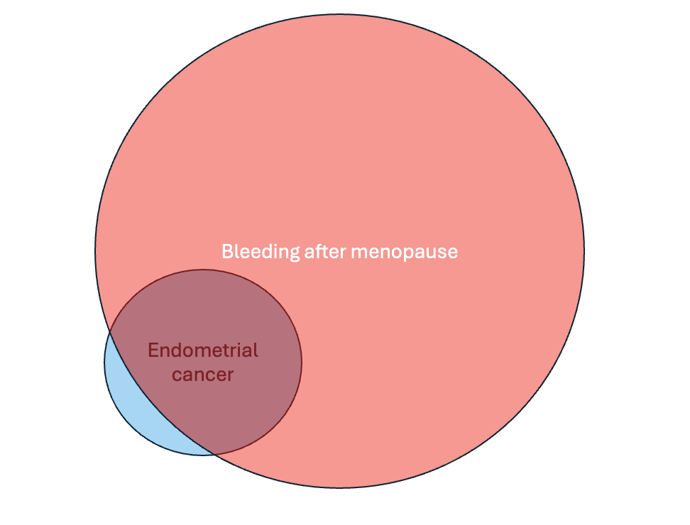 Bleeding After Menopause - by Dr. Jen Gunter - The Vajenda