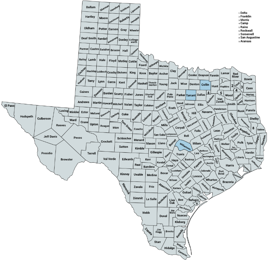 Which Texas Counties Should We Expect To Be Blue In November?
