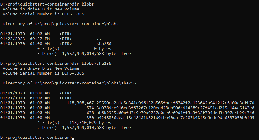 Deep-dive into exported Container Image content