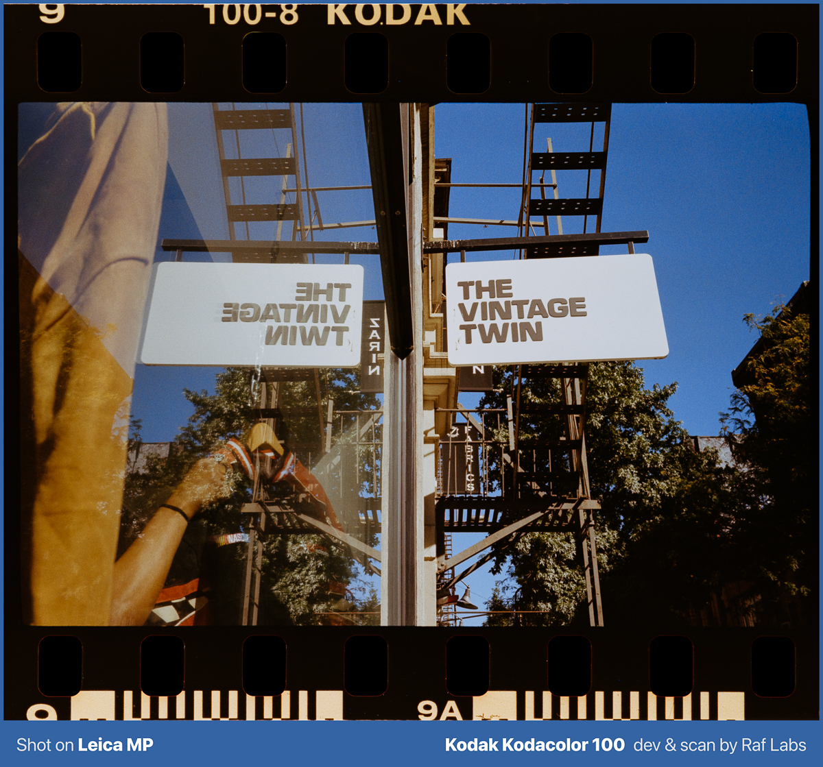 Kodak KODACOLOR 100 & 200 review with photos: is this really new film?
