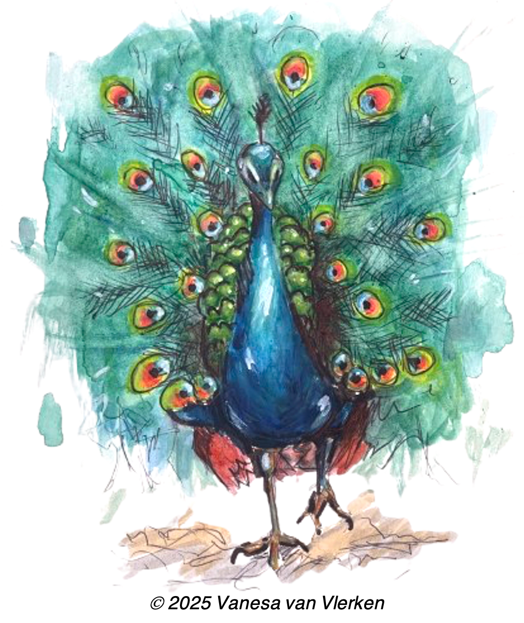 The Discovery of the New Colour Olo and What it Reveals About Perception
