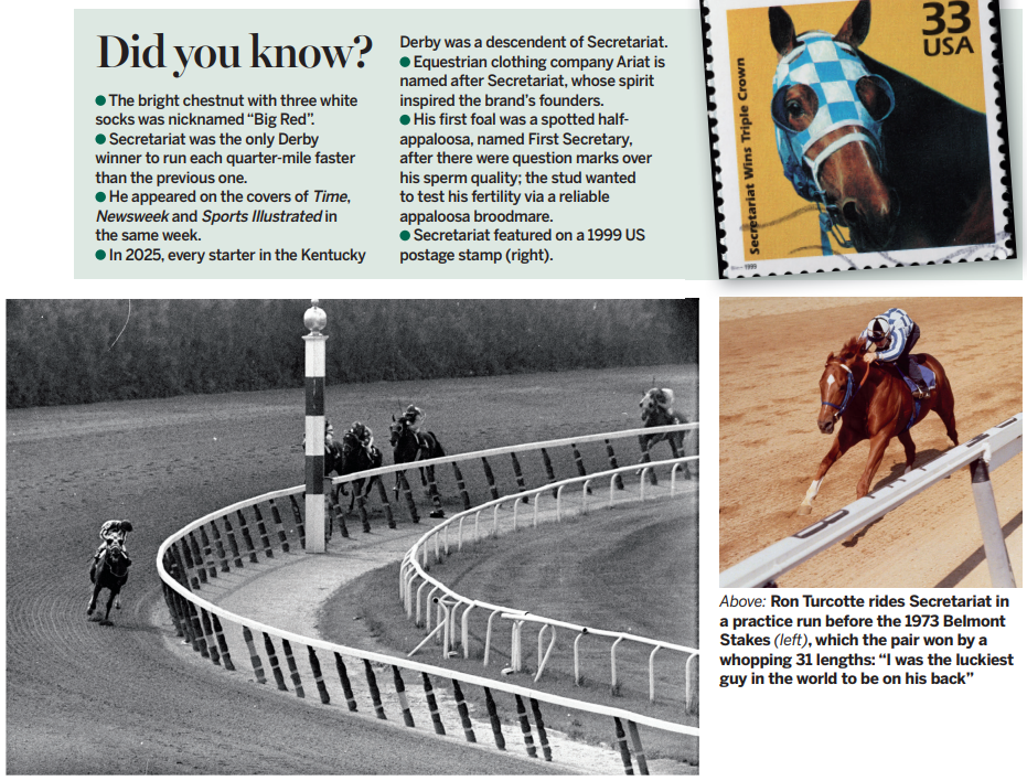 Secretariat - by Jamie Haase - The Diplomatic Pouch