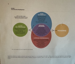 The Active View of Reading - Leah Mermelstein