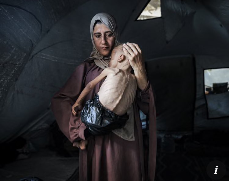 Ricky Hale (@councilestatemedia): "Israel: "We want every Palestinian in Gaza to starve to death ...