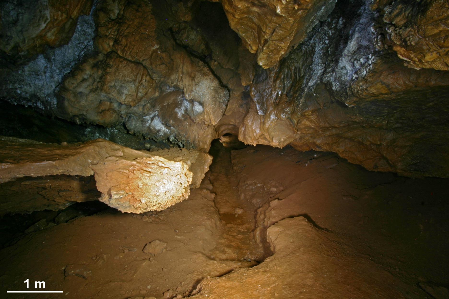 Tracing the Hands of Time: Neanderthals and the Cave Art of Maltravieso