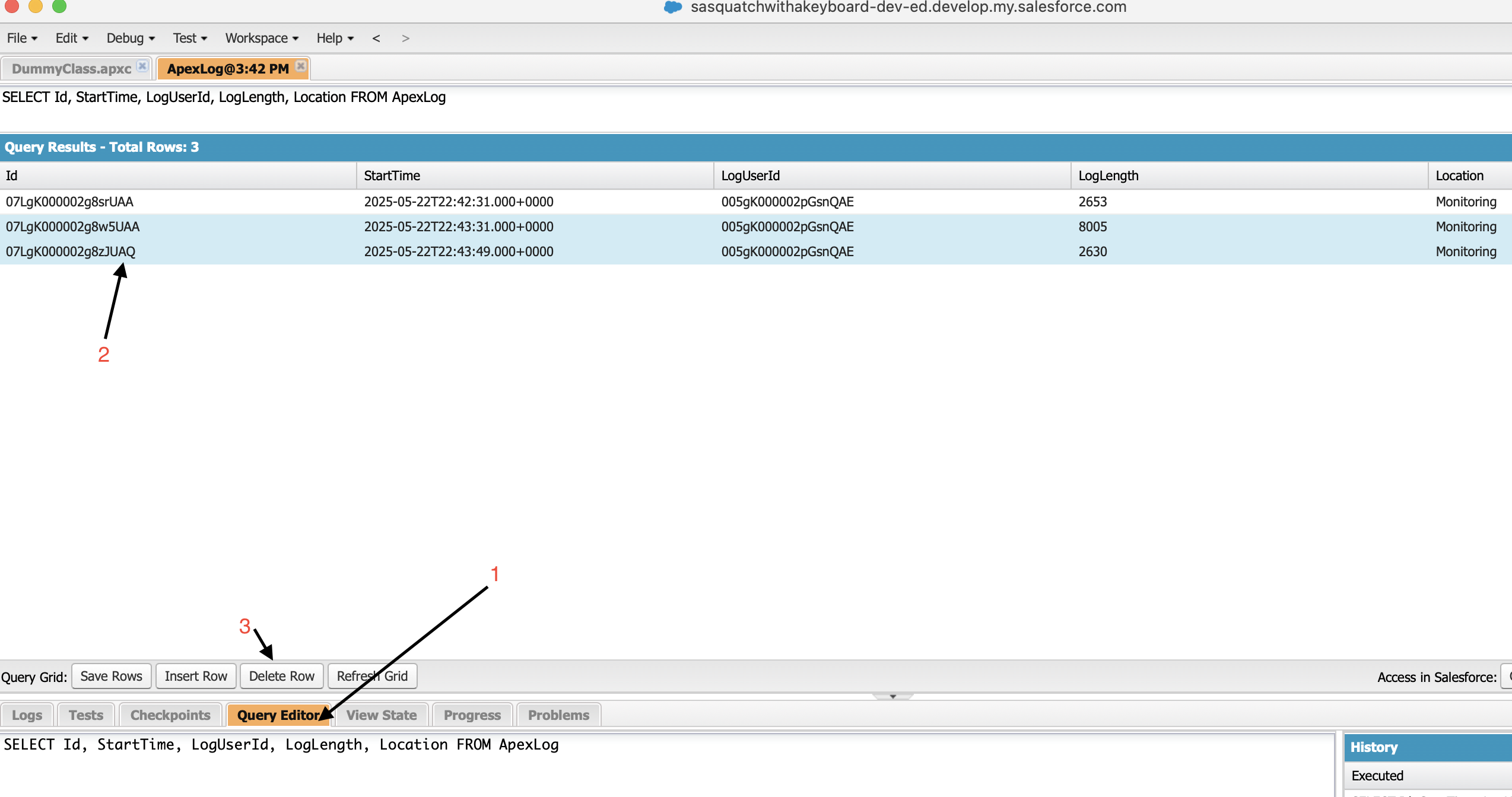 Clear Apex debug logs with the sf cli - by Ilya Pinchuk
