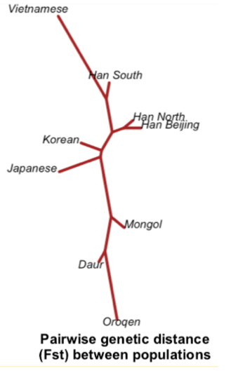 Korean identity: a story of genetic continuity 1,400 years in the making
