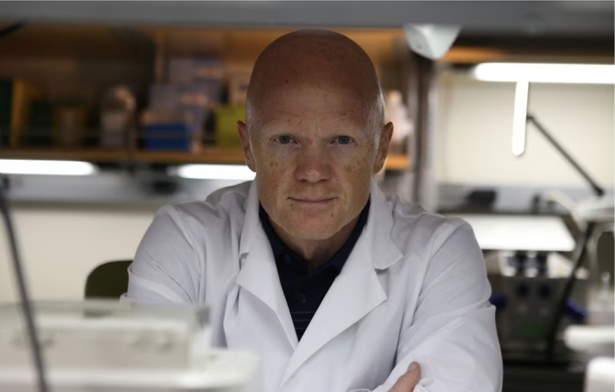 » Sopesar el valor de los medicamentos para bajar de peso;